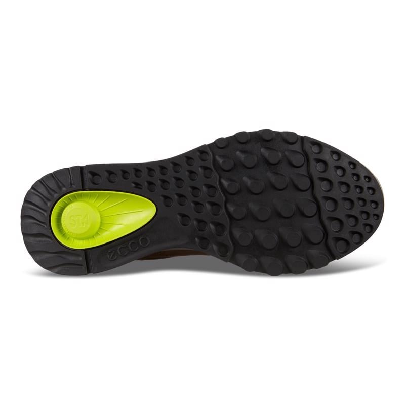ECCO EXOSTRIDE M LOW GTX | ECCO® Middle East A/S