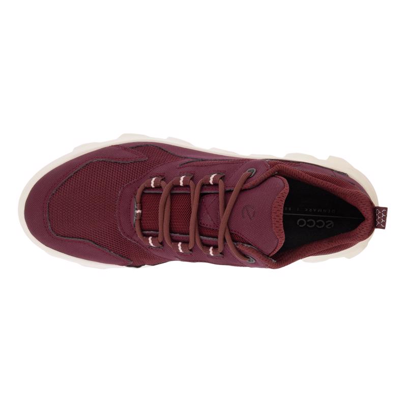 ECCO MX W LOW GTX | ECCO Trading Co. Ltd