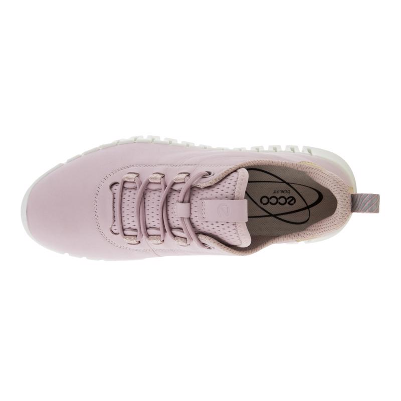 Gruuv W Violet Ice Powder | ECCO Trading Co. Ltd